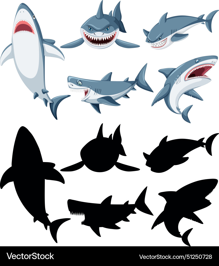 Collection of different styled cartoon sharks Vector Image