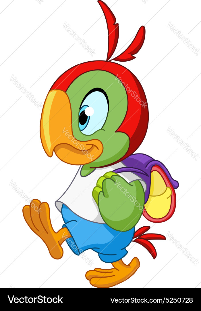 School parrot Royalty Free Vector Image - VectorStock