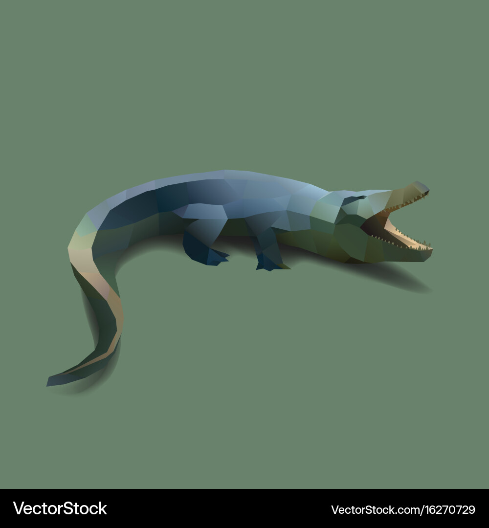 Crocodile Royalty Free Vector Image - VectorStock