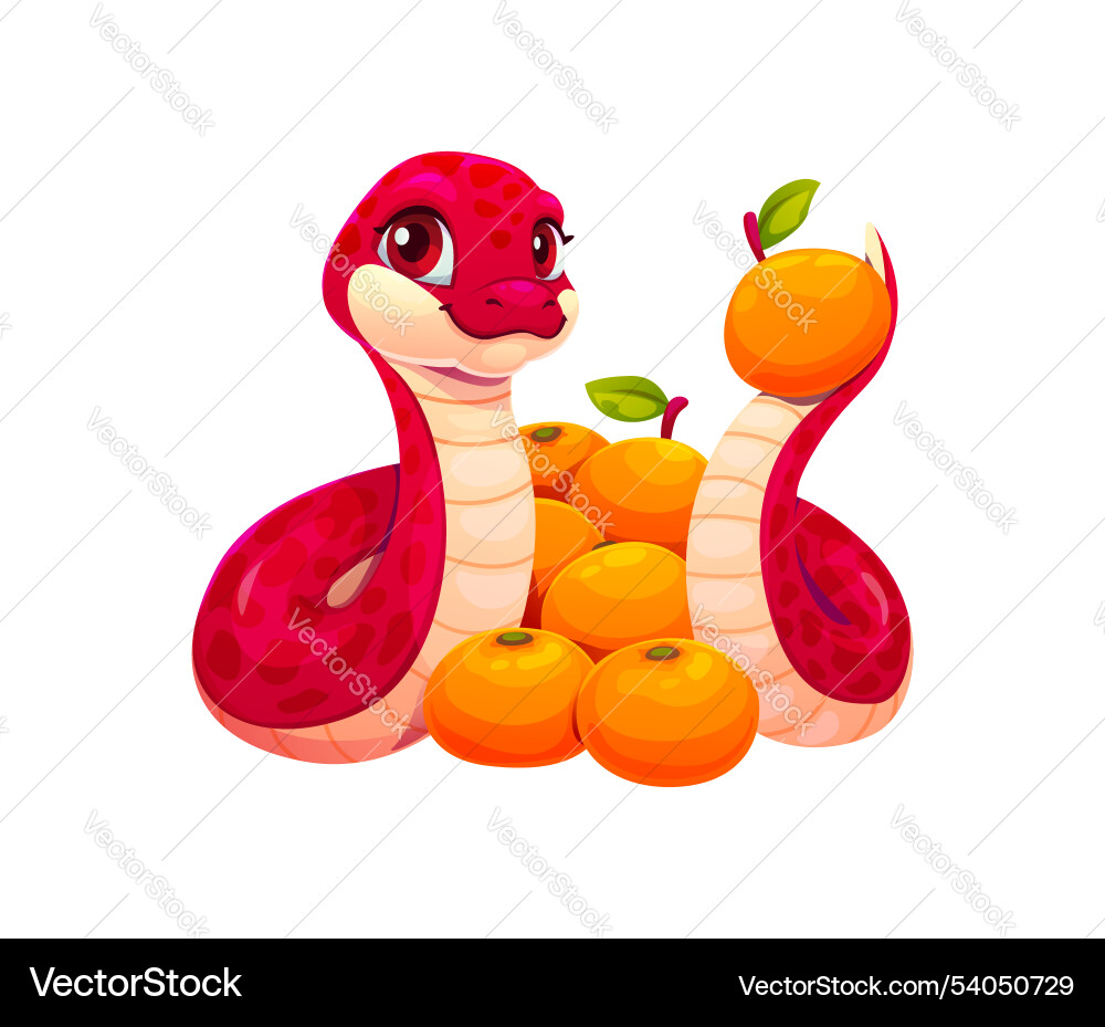 Cute cartoon red snake character with mandarins Vector Image