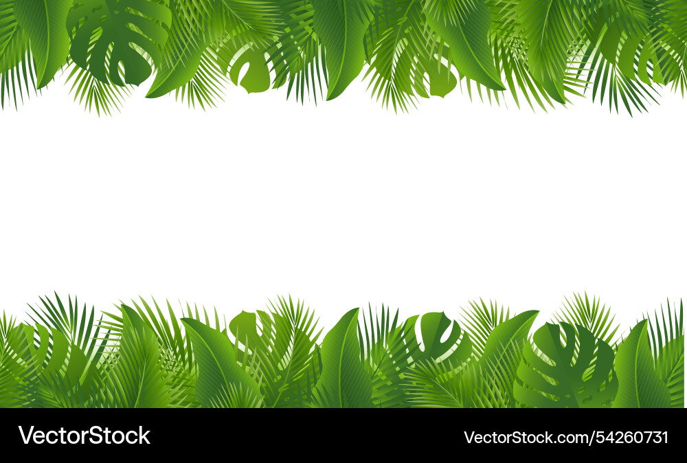 Tropical Leaf Frame Royalty Free Vector Image - VectorStock