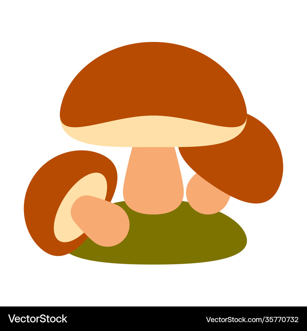 Mushrooms Royalty Free Vector Image - VectorStock