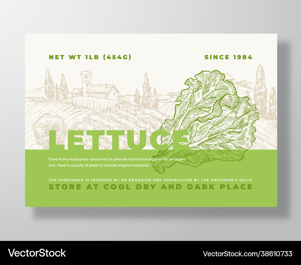 Lettuce label template abstract packaging Vector Image