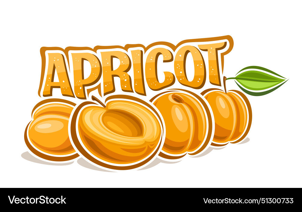Logo for apricot Royalty Free Vector Image - VectorStock