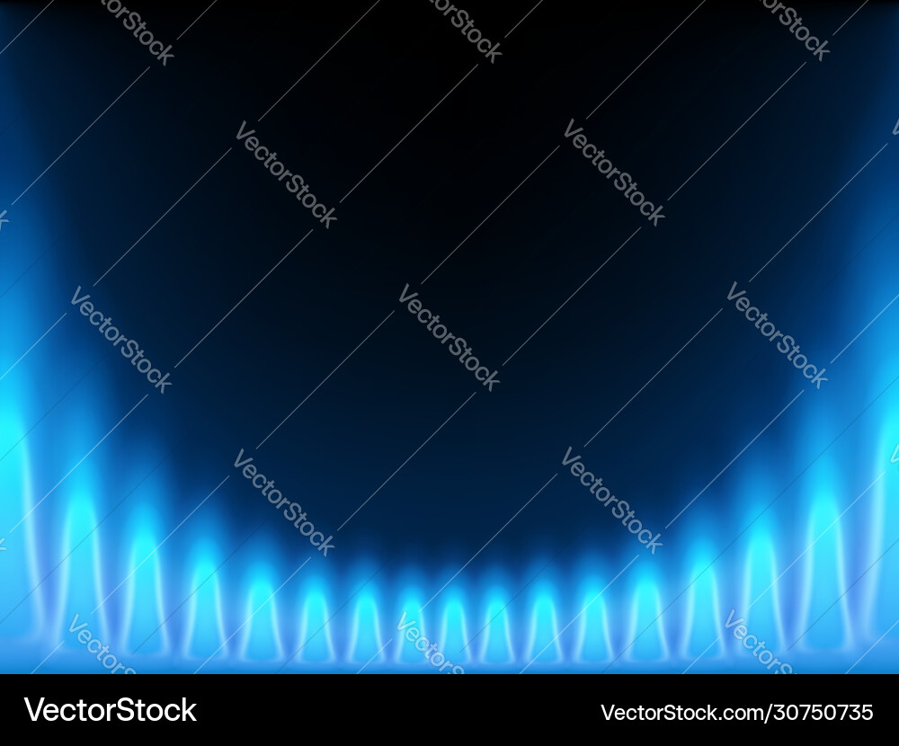 Blue flame gas isolated on a black background Vector Image