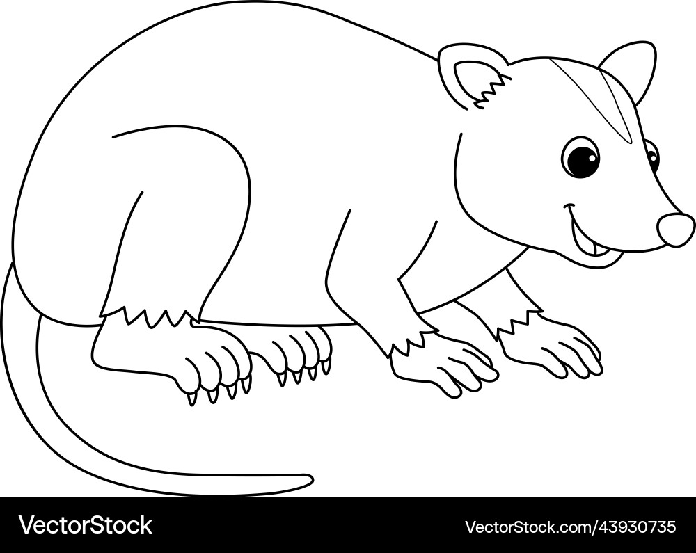 Opossum Tier isolierte Malvorlage für Kinder Vektorbild