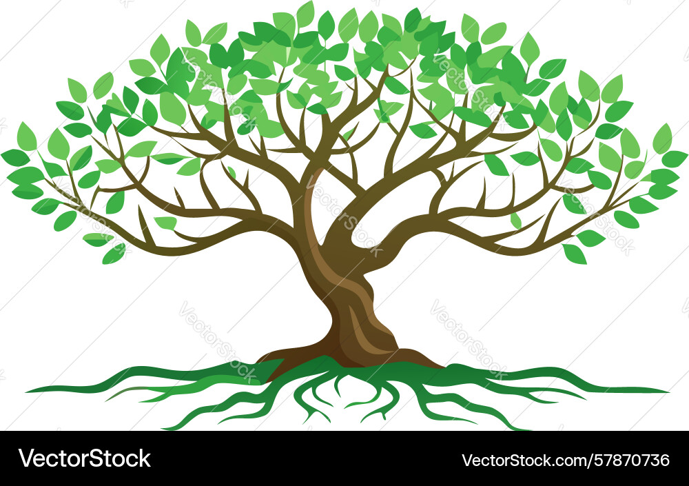 Beautiful green tree with robust foliage design – Royalty-Free Vector ...