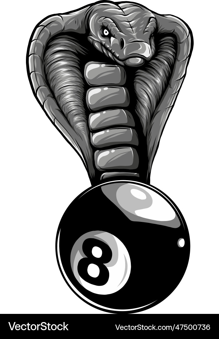 Billiard 8 Ball with Cobra Snake Royalty Free Vector Image