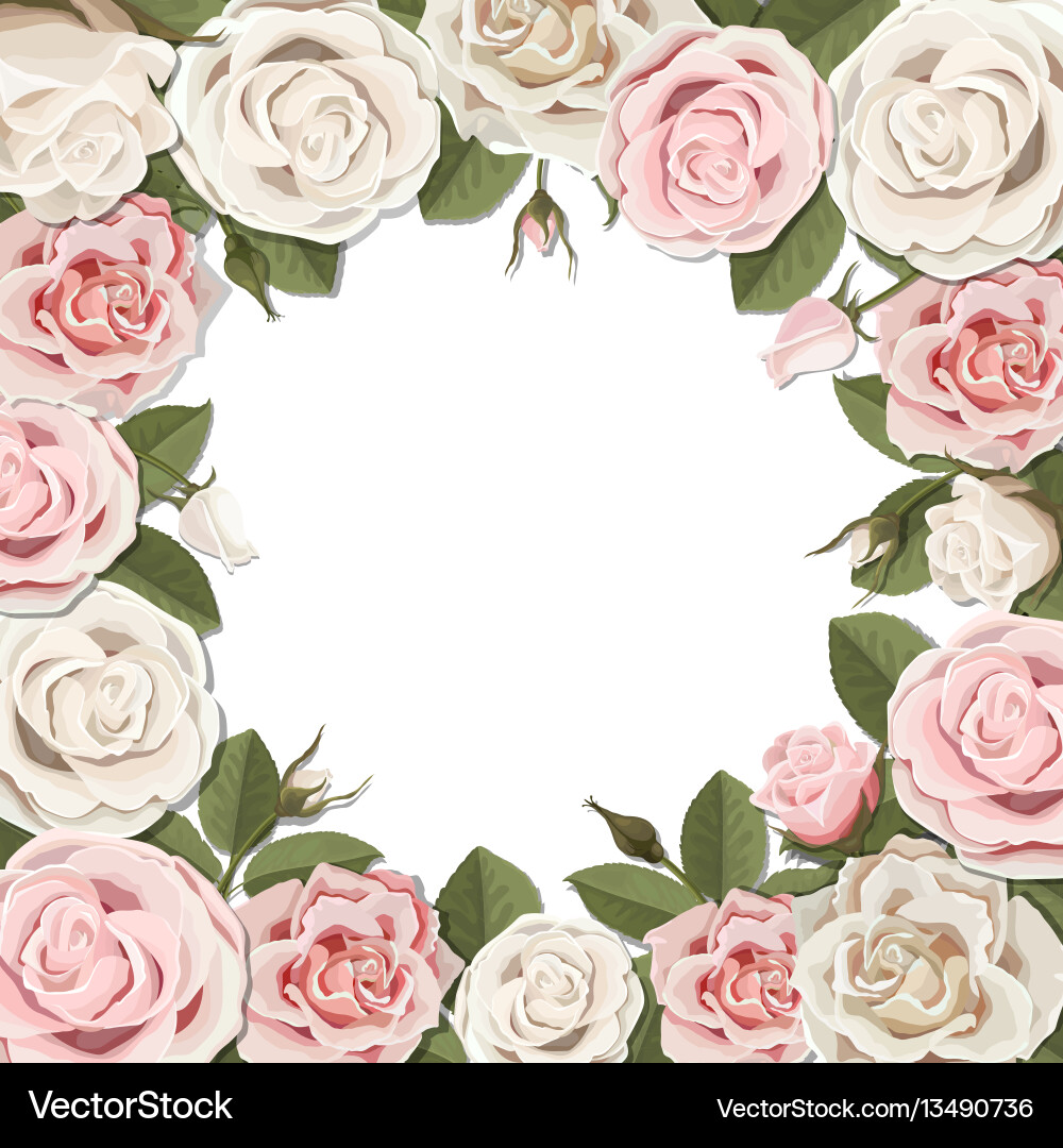 Blossom pink and white rose flowers frame Vector Image