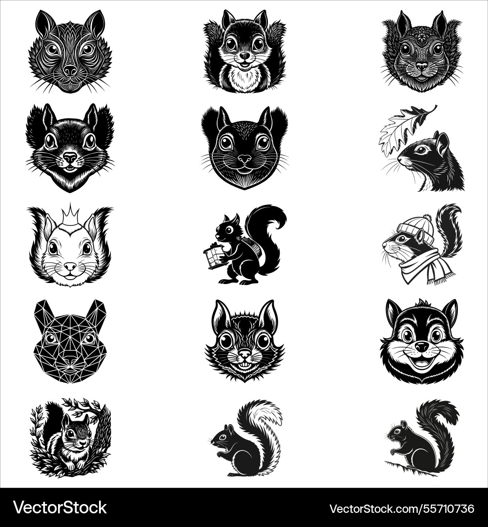 Squirrel face svg Royalty Free Vector Image - VectorStock