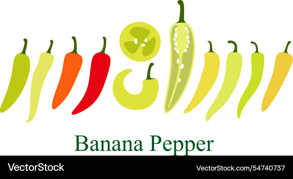 Banana pepper flat icon set Royalty Free Vector Image