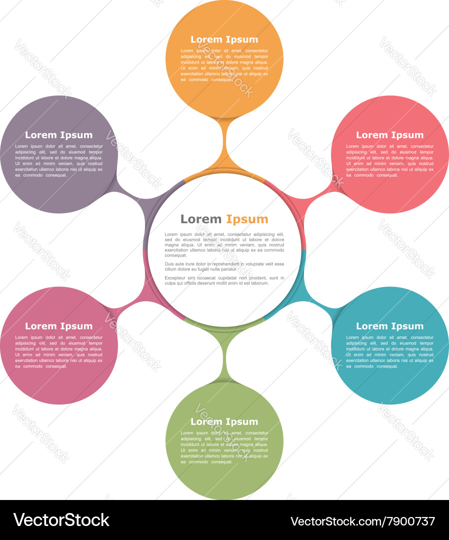 Circular Data Chart Infographic Royalty Free Vector Image