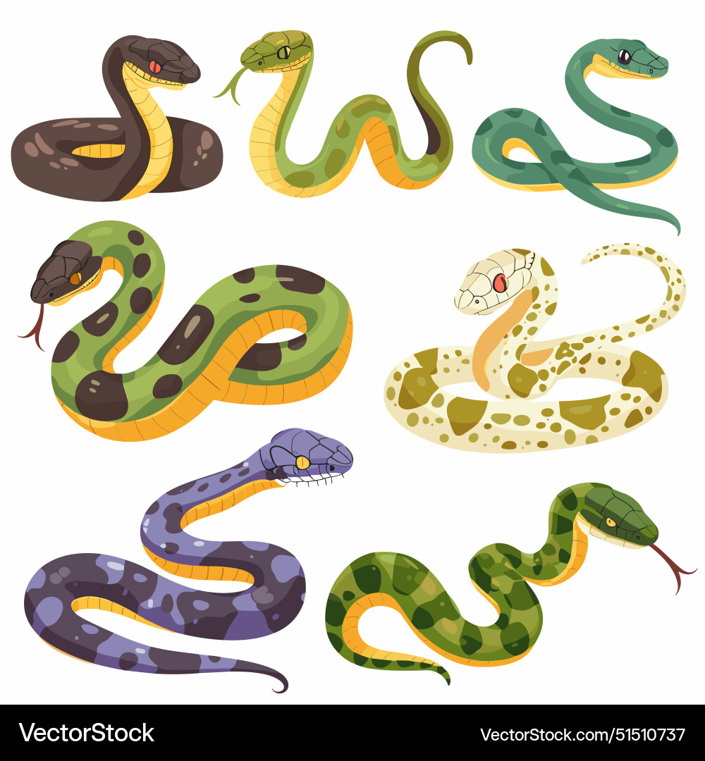 Collection cartoon snakes various species colors Vector Image