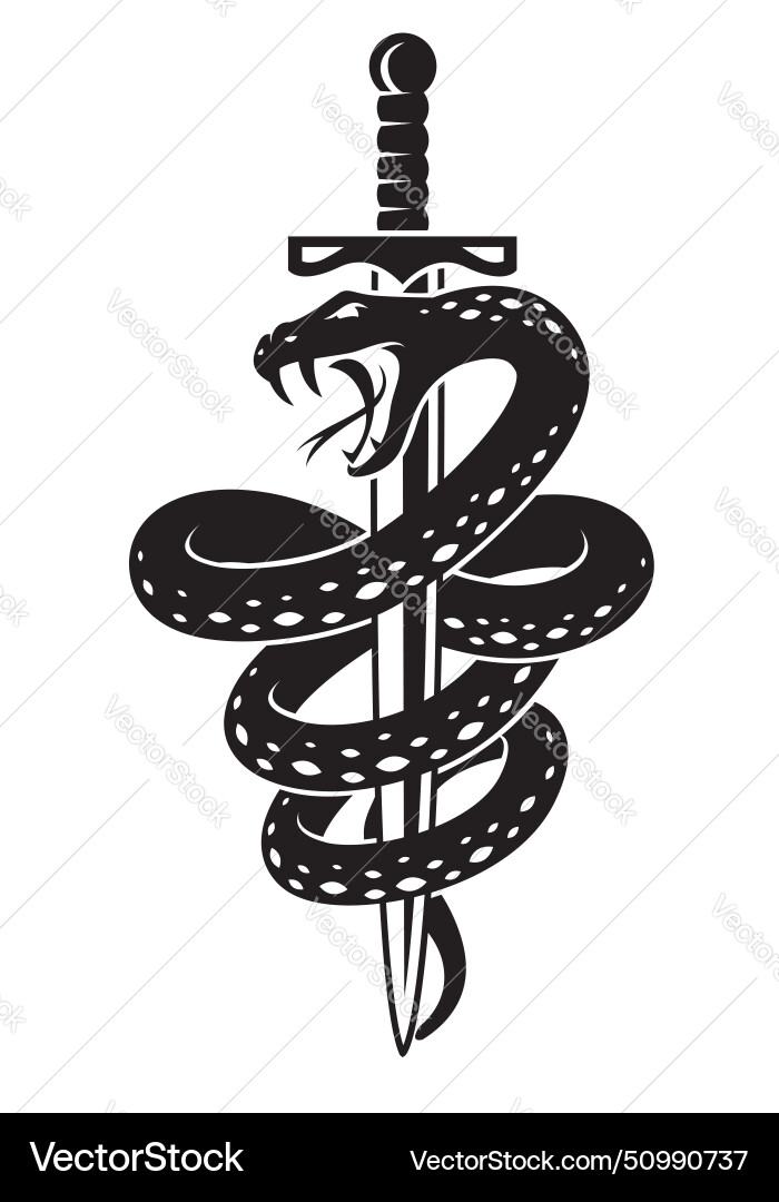 Snake and sword Royalty Free Vector Image - VectorStock