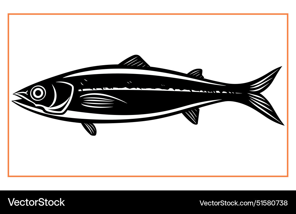 Anchovy fish silhouette isolated on white Vector Image