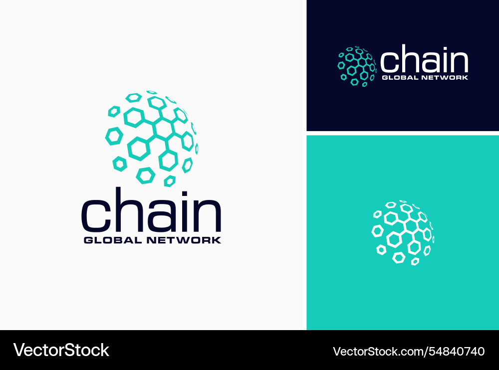 Globe hexagon chain global digital network logo Vector Image