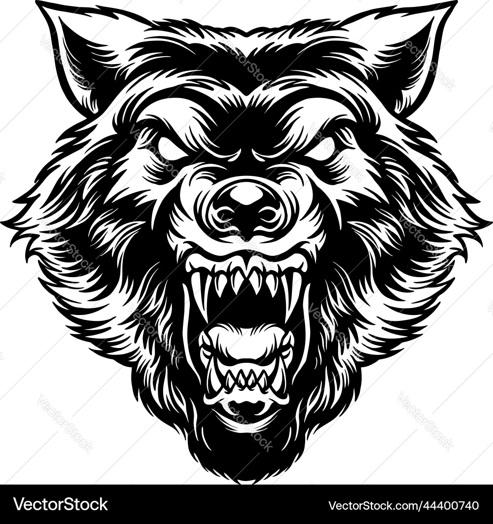 Cartoon Angry Fox Vector Images (over 1,400)