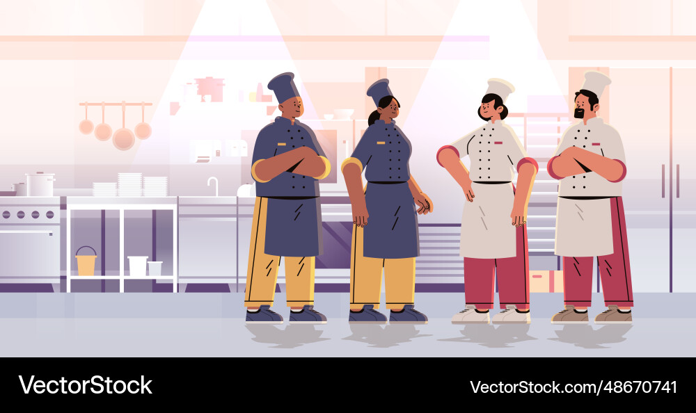 Mix race professional restaurant culinary chefs Vector Image