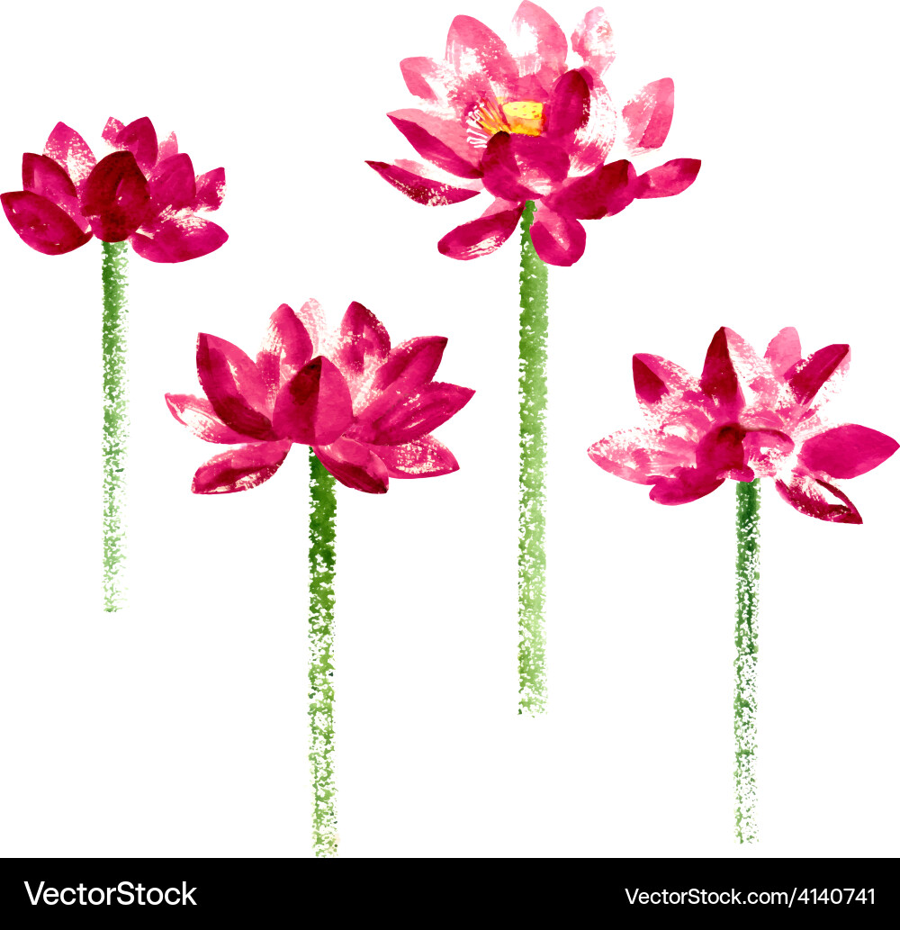 Red Watercolor Lotus Flowers Royalty Free Vector Image