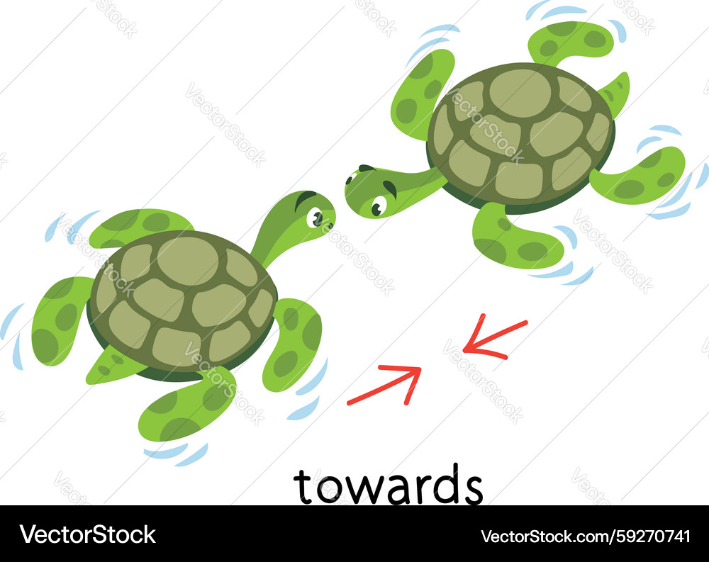 Turtles Moving Towards Royalty Free Vector Image