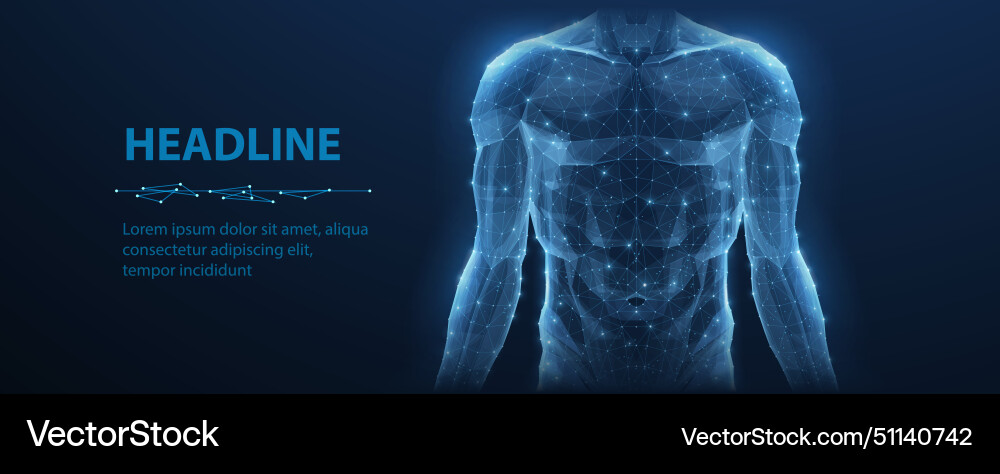 Human body abstract anatomy Royalty Free Vector Image