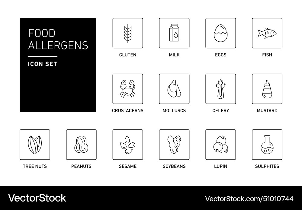 Food allergens icons set Royalty Free Vector Image