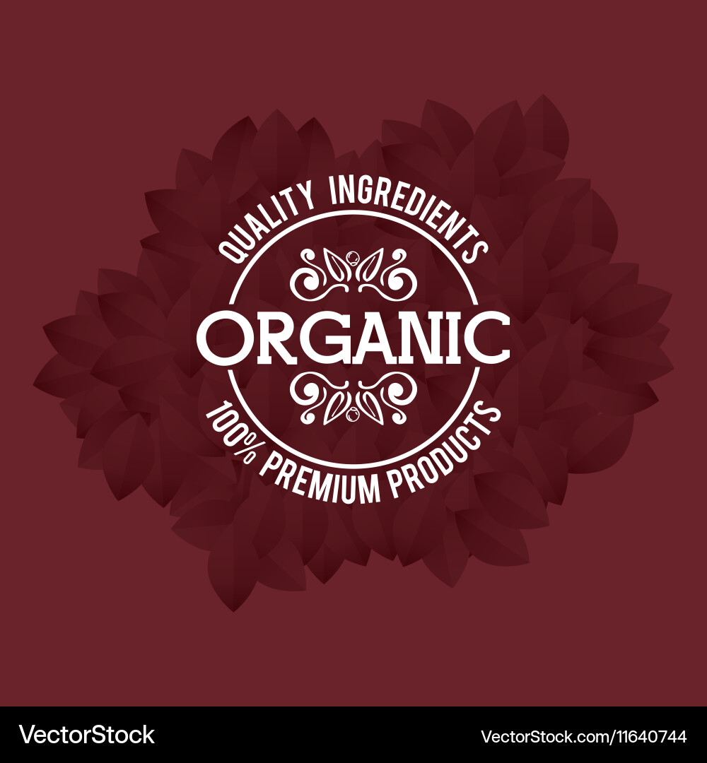 Organic food product Royalty Free Vector Image