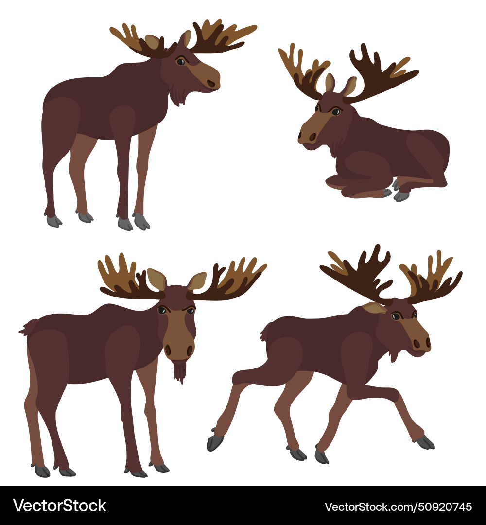 Drawing mooseelks Royalty Free Vector Image - VectorStock