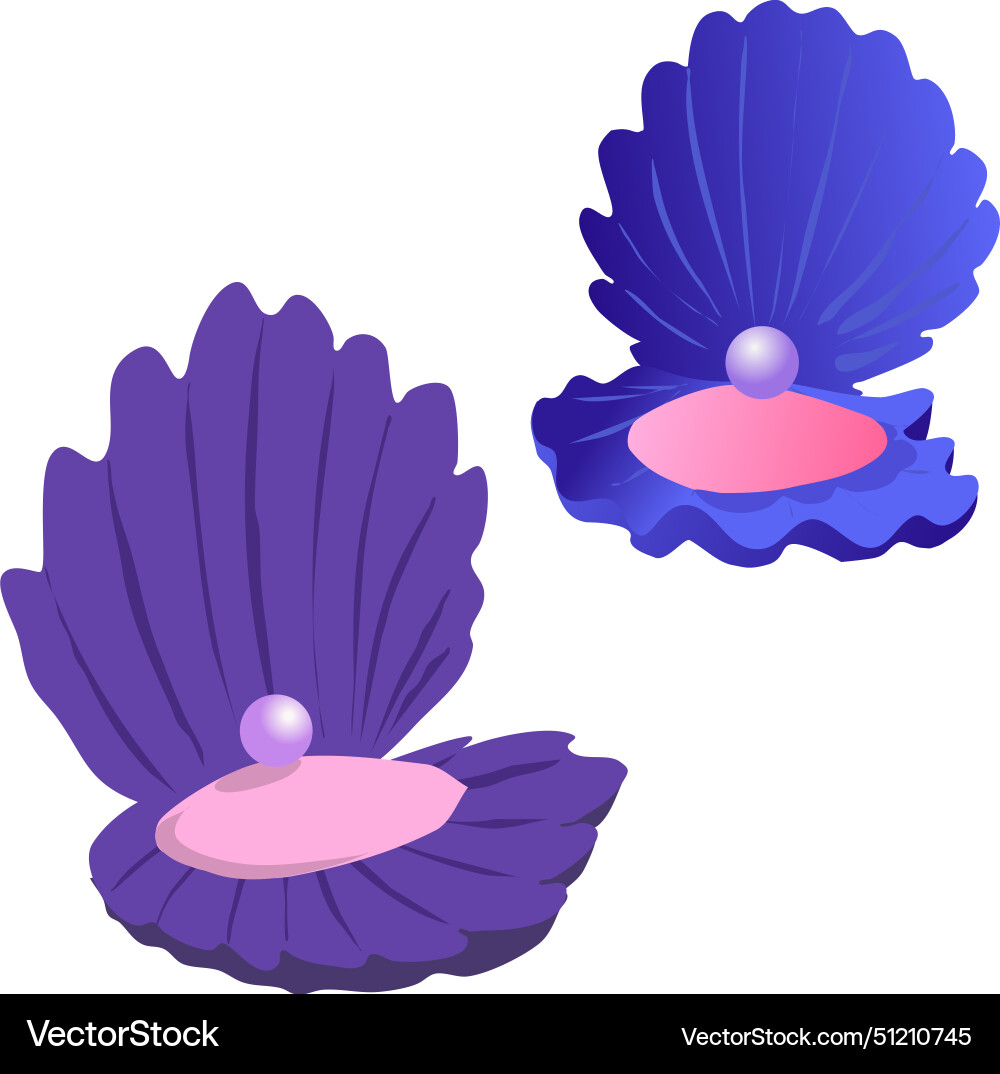 Pattern of purple and blue open sea shells Vector Image