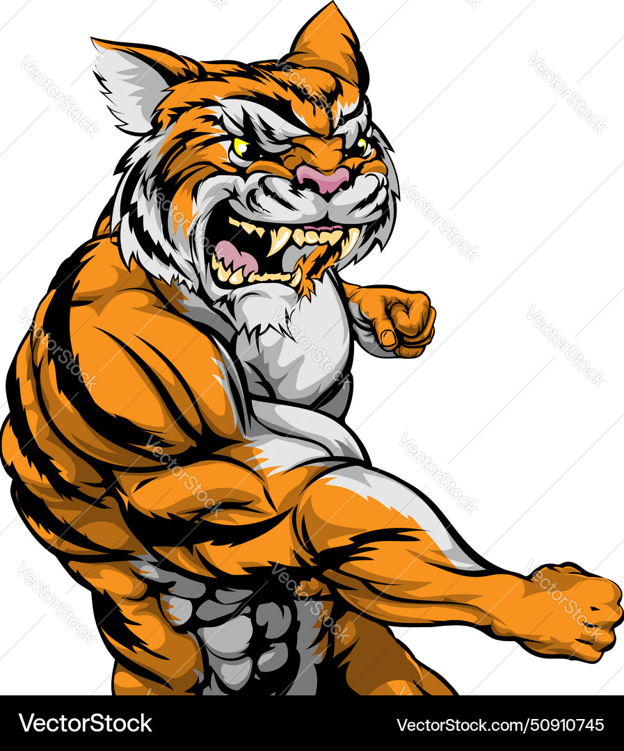 Tiger character fighting Royalty Free Vector Image