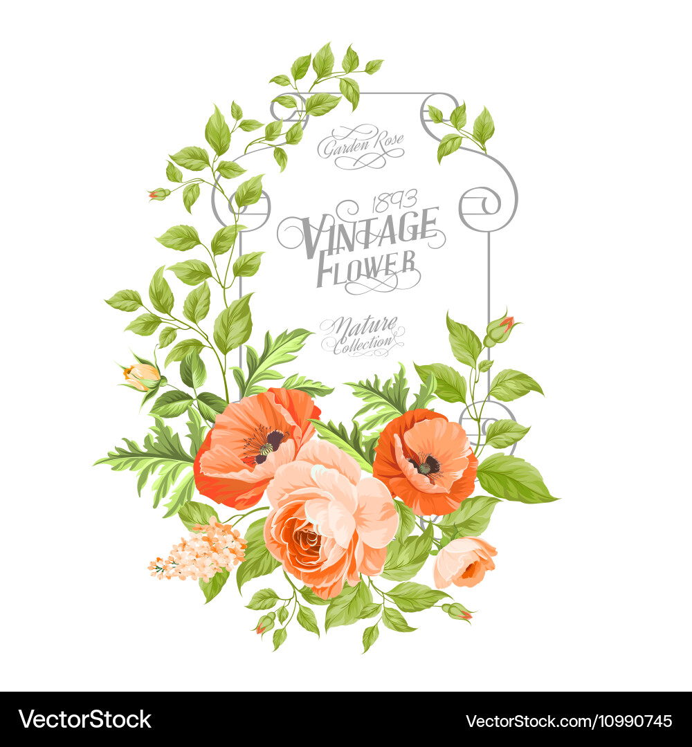 Vintage card background Royalty Free Vector Image