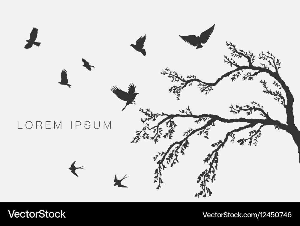 Flying birds on tree branch Royalty Free Vector Image