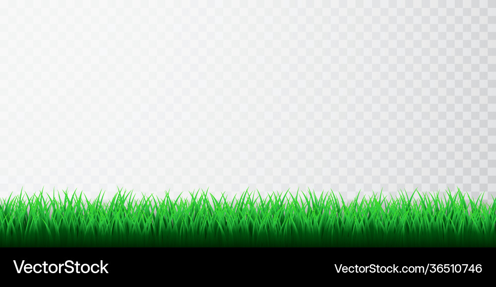 Green grass border set on transparent background Vector Image