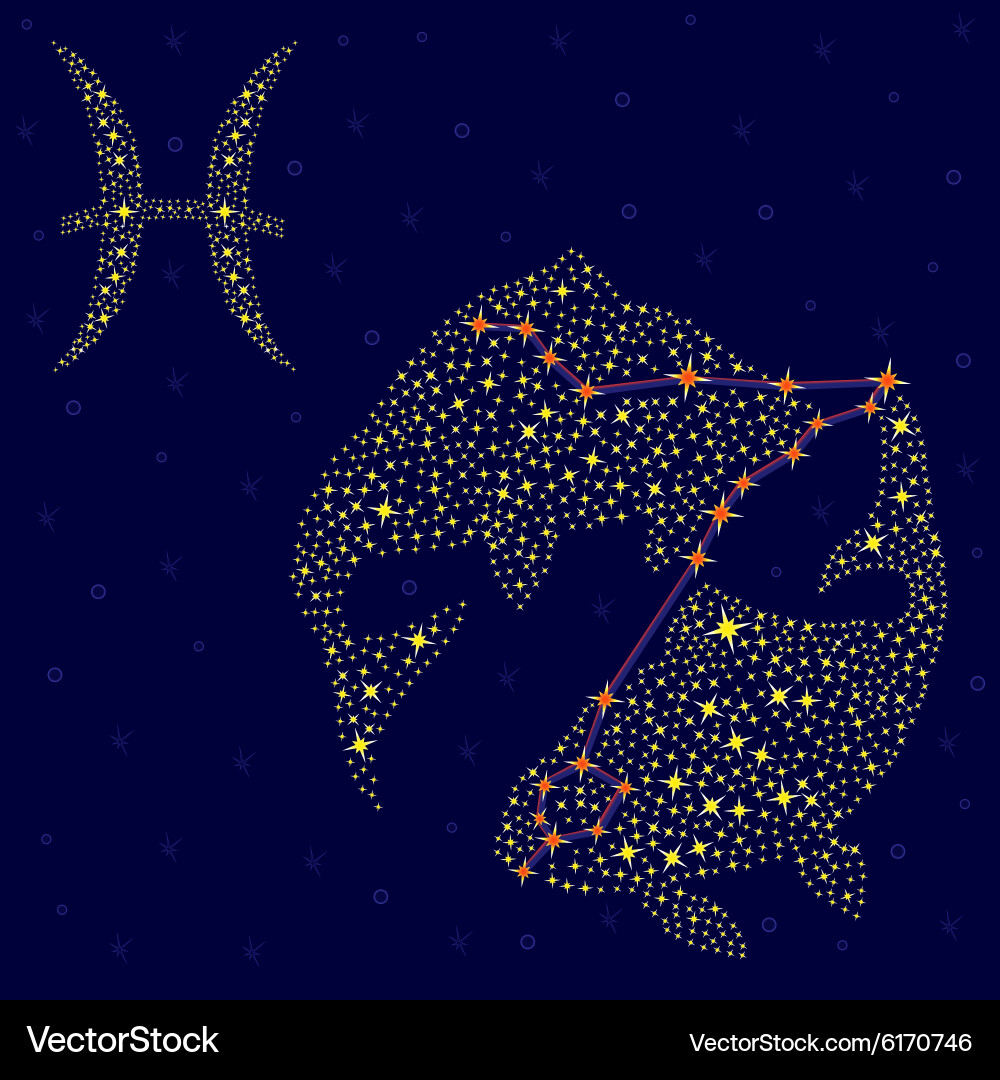 Zodiac sign pisces over starry sky Royalty Free Vector Image