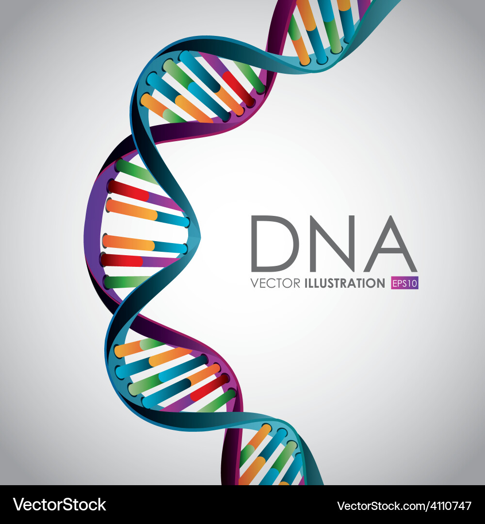 Dna design Royalty Free Vector Image - VectorStock