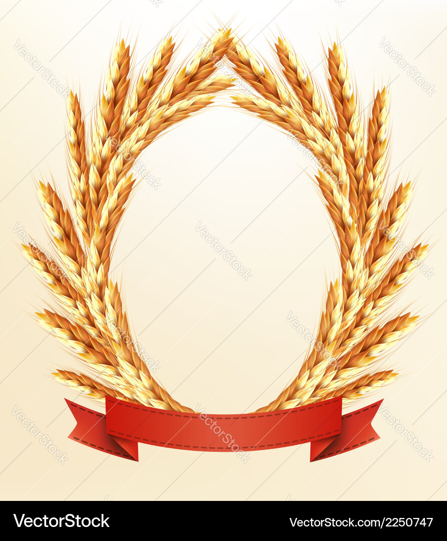 Golden Wheat with Red Ribbons Royalty Free Vector Image