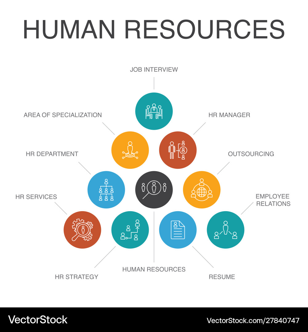 Human Resources Infographic - 10 Steps Royalty Free Vector