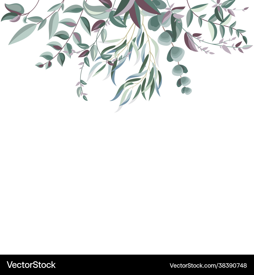 Composition with delicate greenery Royalty Free Vector Image