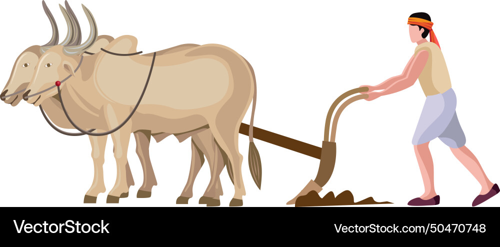Indian asian farmer ploughing with bullocks Vector Image