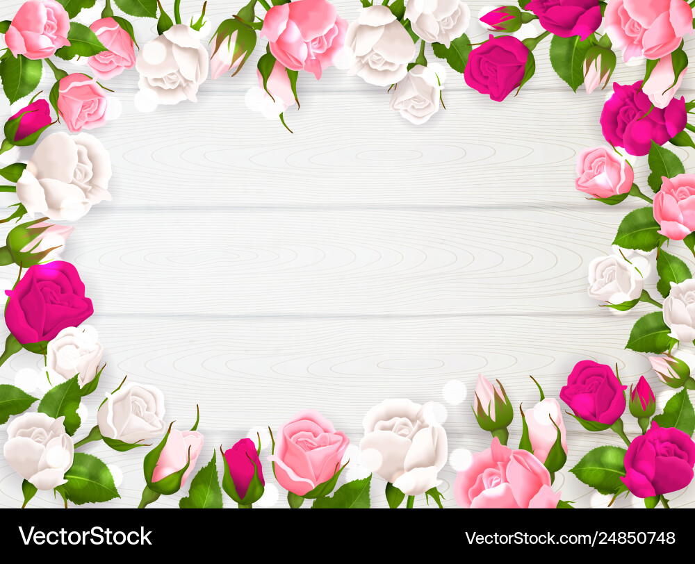 Mother's Day Rose Frame Royalty Free Vector Image