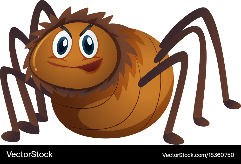 Brown spider on white background Royalty Free Vector Image