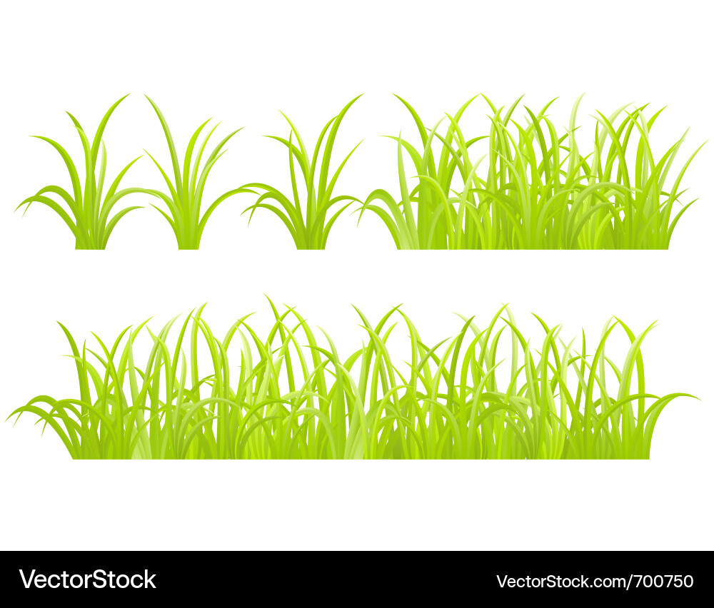 Grass elements Royalty Free Vector Image - VectorStock