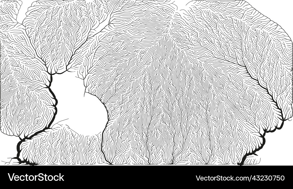 Growth pattern generative branching structure Vector Image