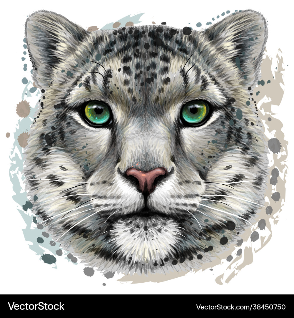 Snow leopard color portrait Royalty Free Vector Image