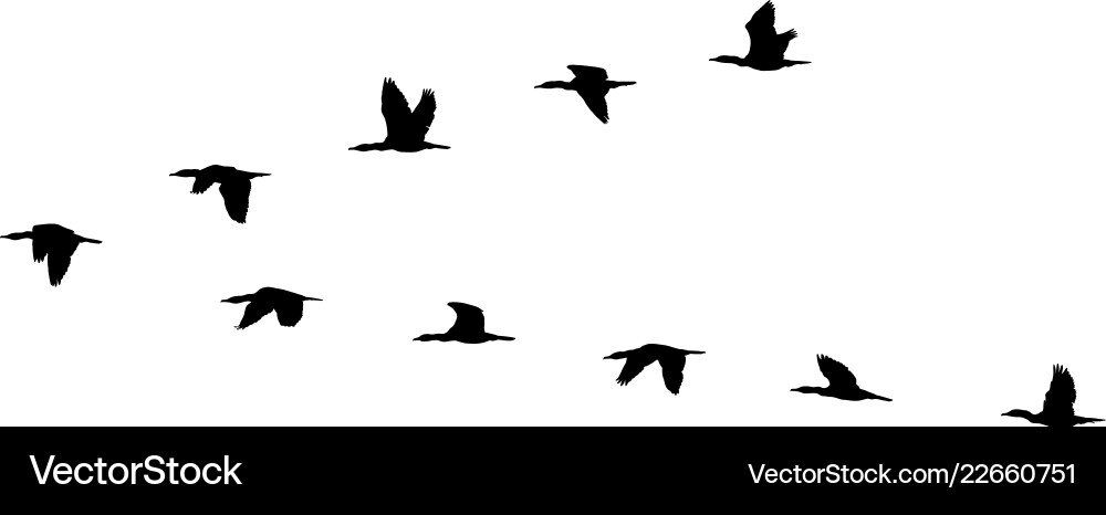 Bird Flying in V Vector Images (over 340)