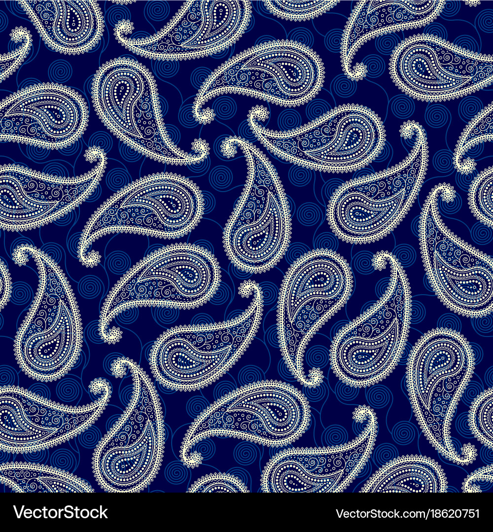 Indian paisley pattern Royalty Free Vector Image