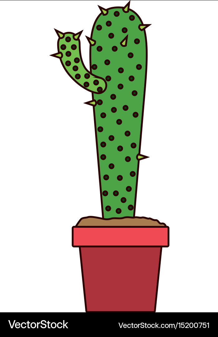White background with cactus small branch Vector Image