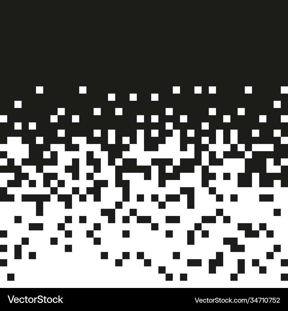 Black and white pixelation Royalty Free Vector Image