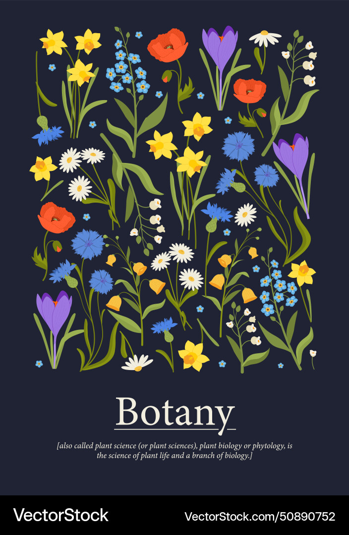 Botany Poster Konzept Lizenzfreies Vektorbild