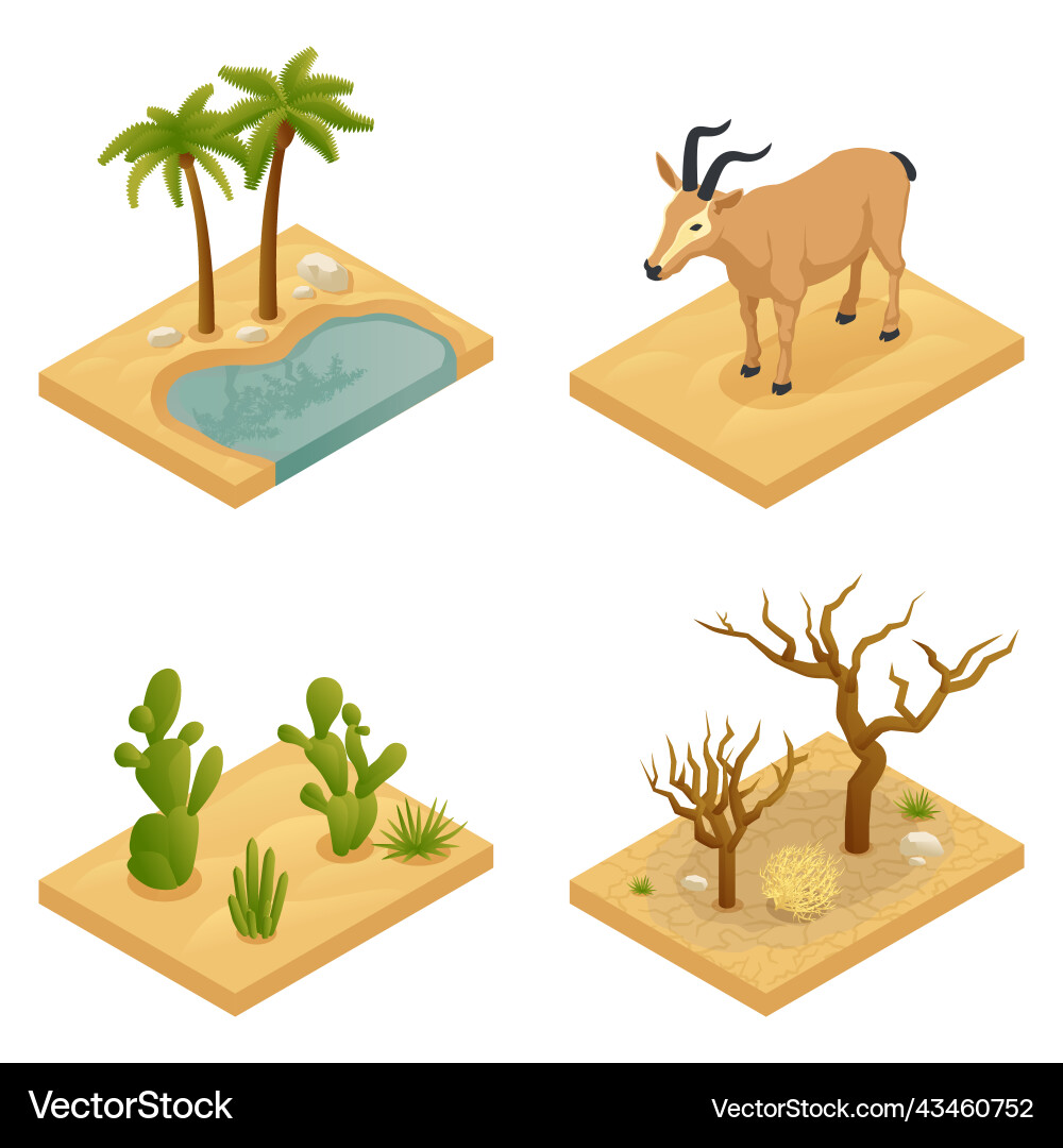 Desert landscape isometric elements Royalty Free Vector